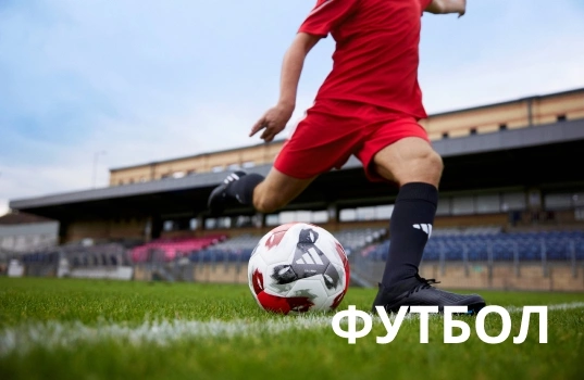 Каталог товаров бренда Adidas на Wildberries